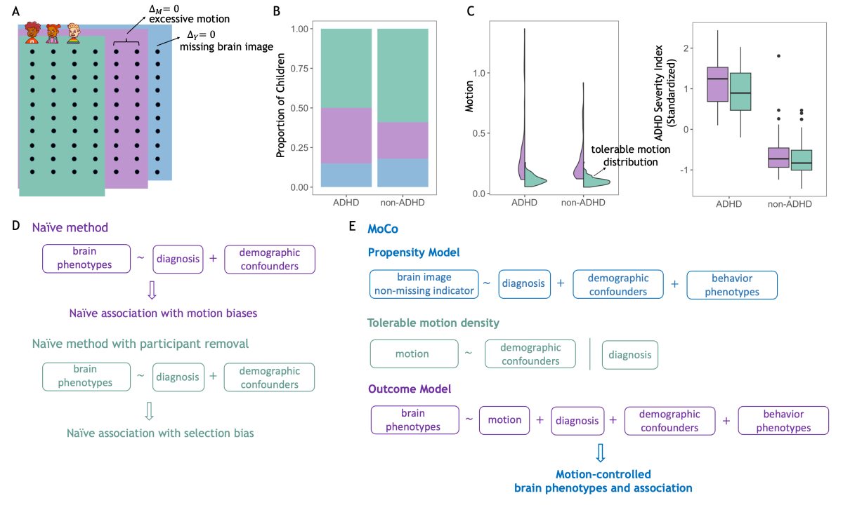 Brain connectome mapping in autism and ADHD – Risk Lab